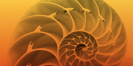 Marsden Fund Council Award