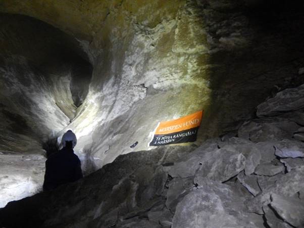 Beyond palaeoclimate: new horizons for cave science