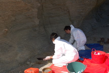 DNA from dung – reconstructing prehistoric ecosystems
