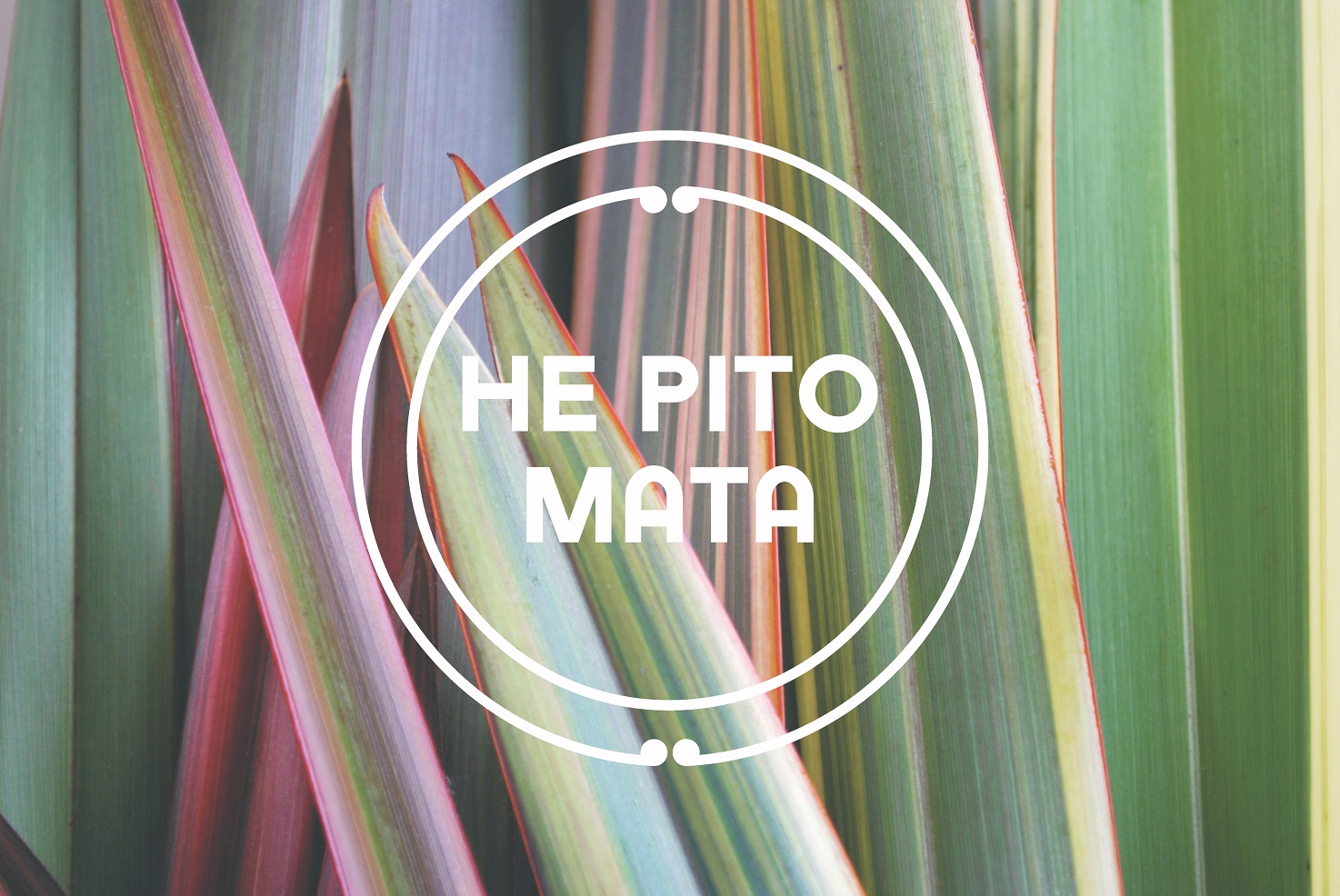 He Pito Mata 2023 - Programme and Event Details