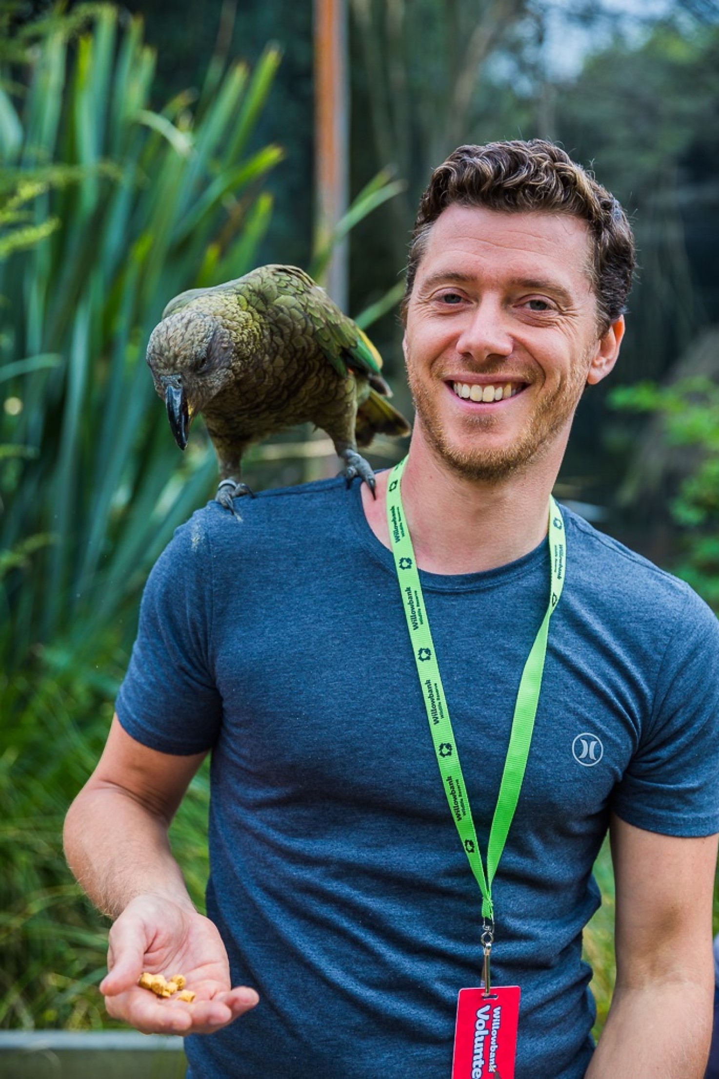 Pick-a-path birds: Can New Caledonian crows plan for different possible ...