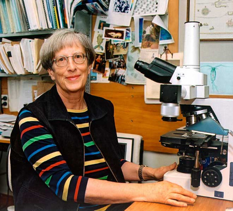 Janet Bradford-Grieve