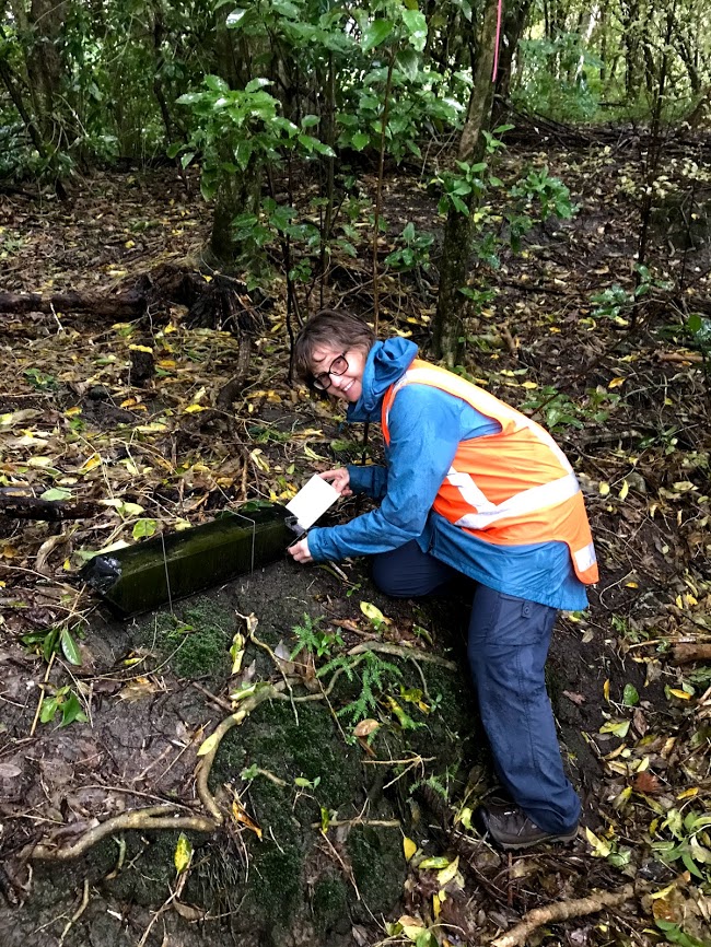 Waiuku College - Jane Patterson
