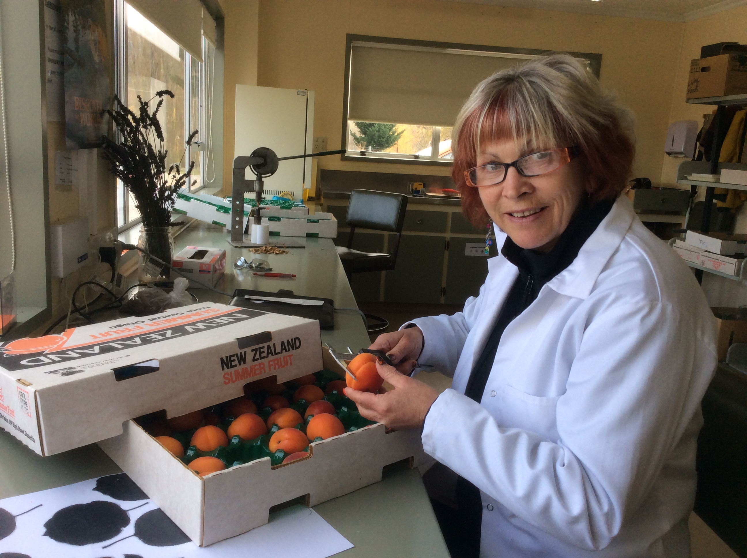 Clyde Primary School - Clyde Primary School