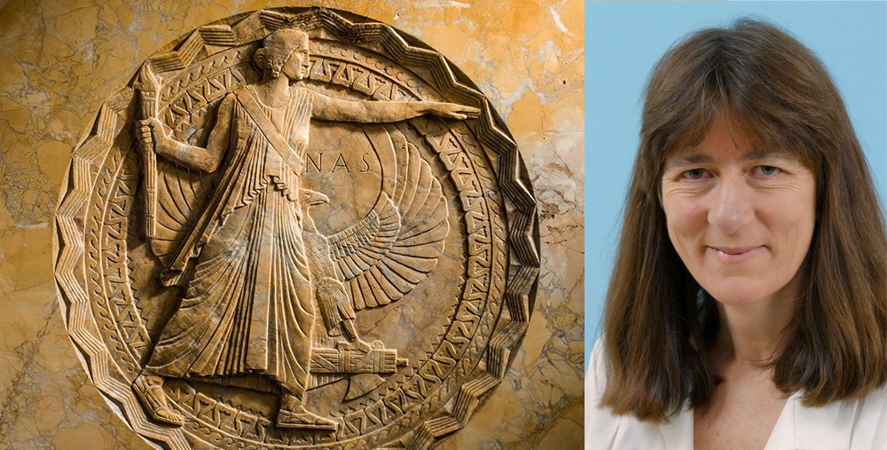 Emeritus Professor Alison Mercer ONZM FRSNZ elected as International ...