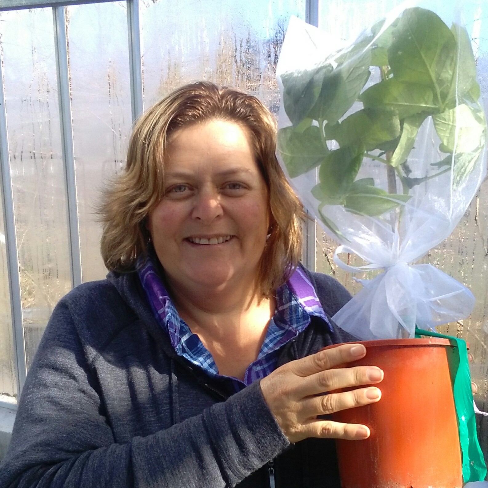 Fairhaven School – Angela McAllister