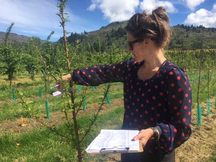 Hawea Flat School – Heather Maxwell