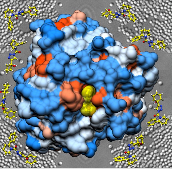Unsticking the biofilms that lead to antibiotic-resistant bacterial ...