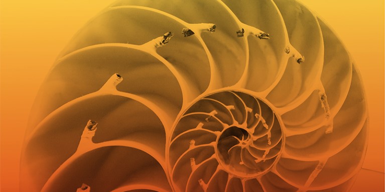 New Marsden Fund grants support innovative research in Aotearoa from ...