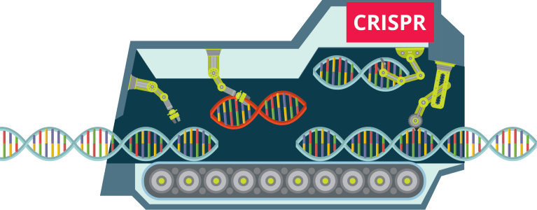 Gene editing technologies