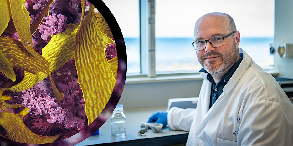 Video: The Survival of our Coral Reefs