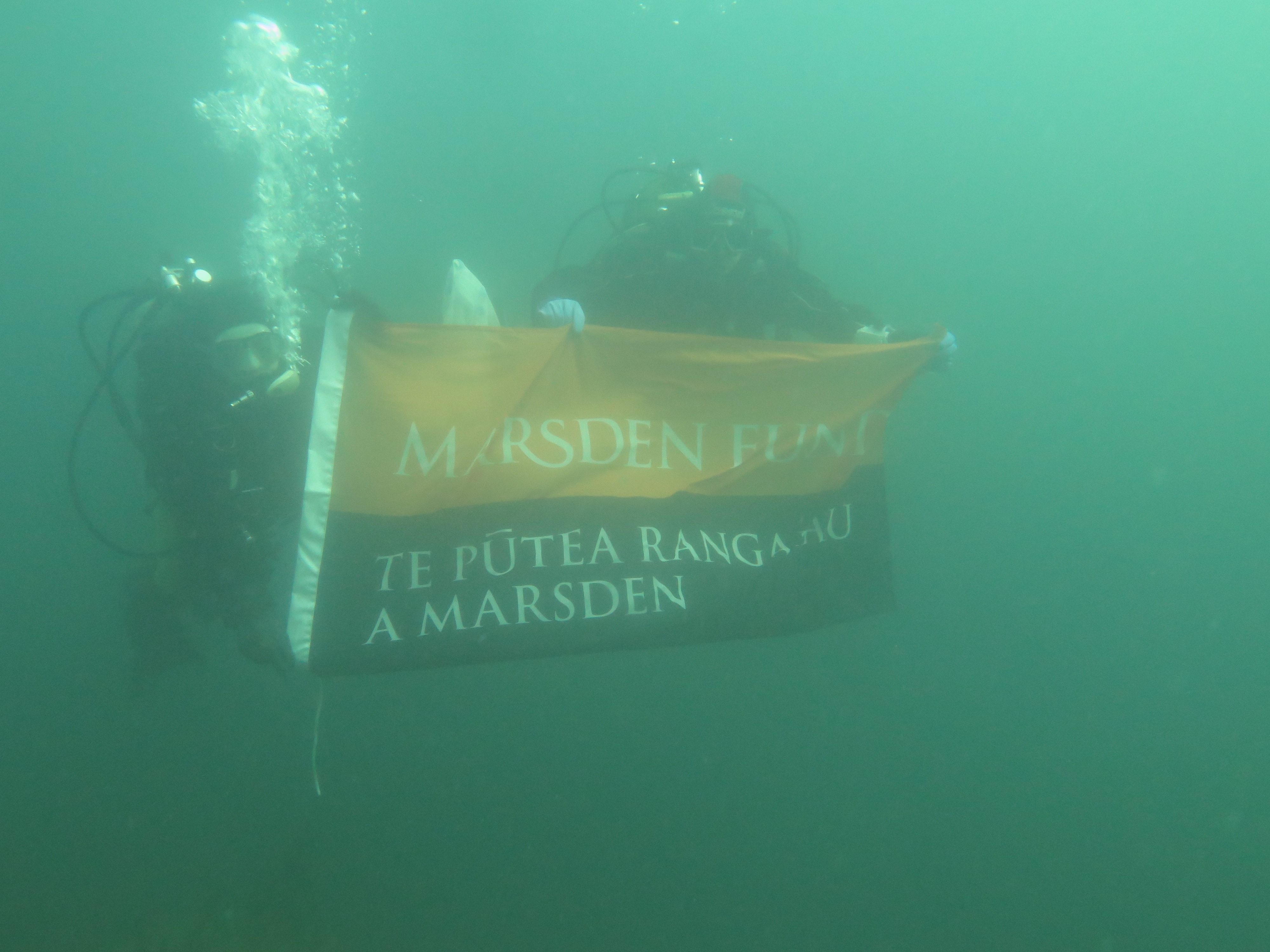 Awarded Marsden Fund grants