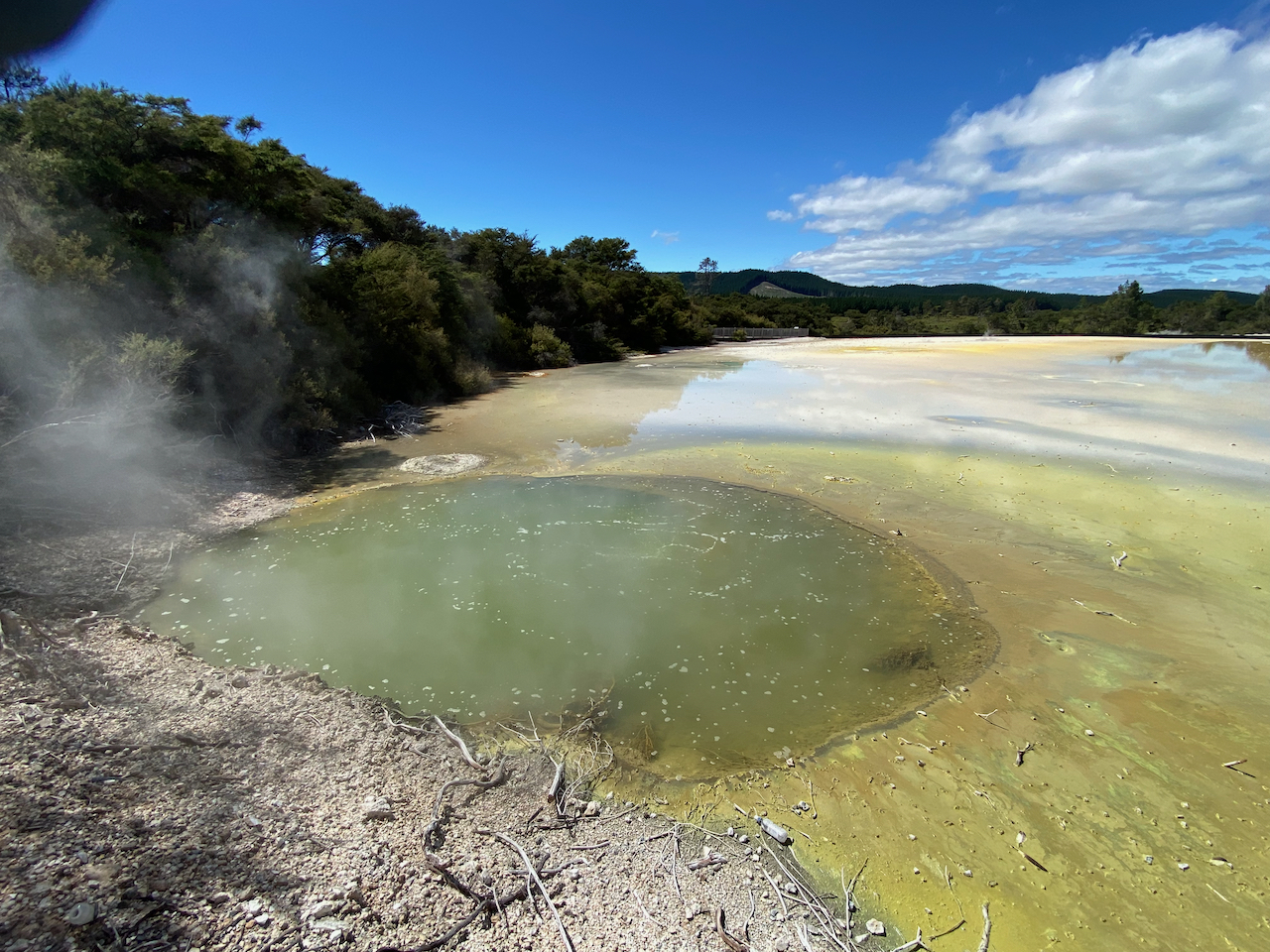 2022 Marsden Fund Highlights