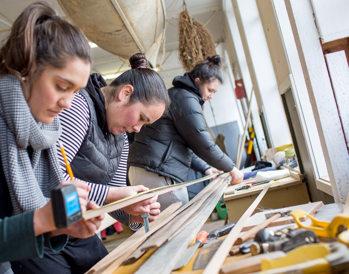 2019 Te Kōpūnui Māori Research Award: Enriching lives by reconnecting ...