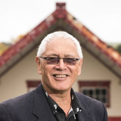Expert perspective: David Tipene-Leach MNZM