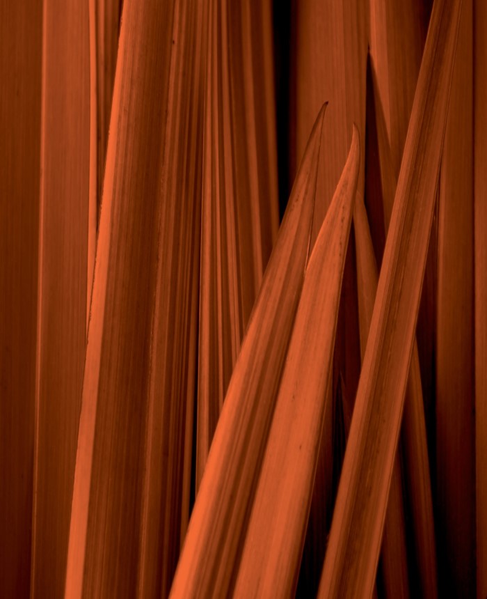 Information on the 2021 Marsden Fund round