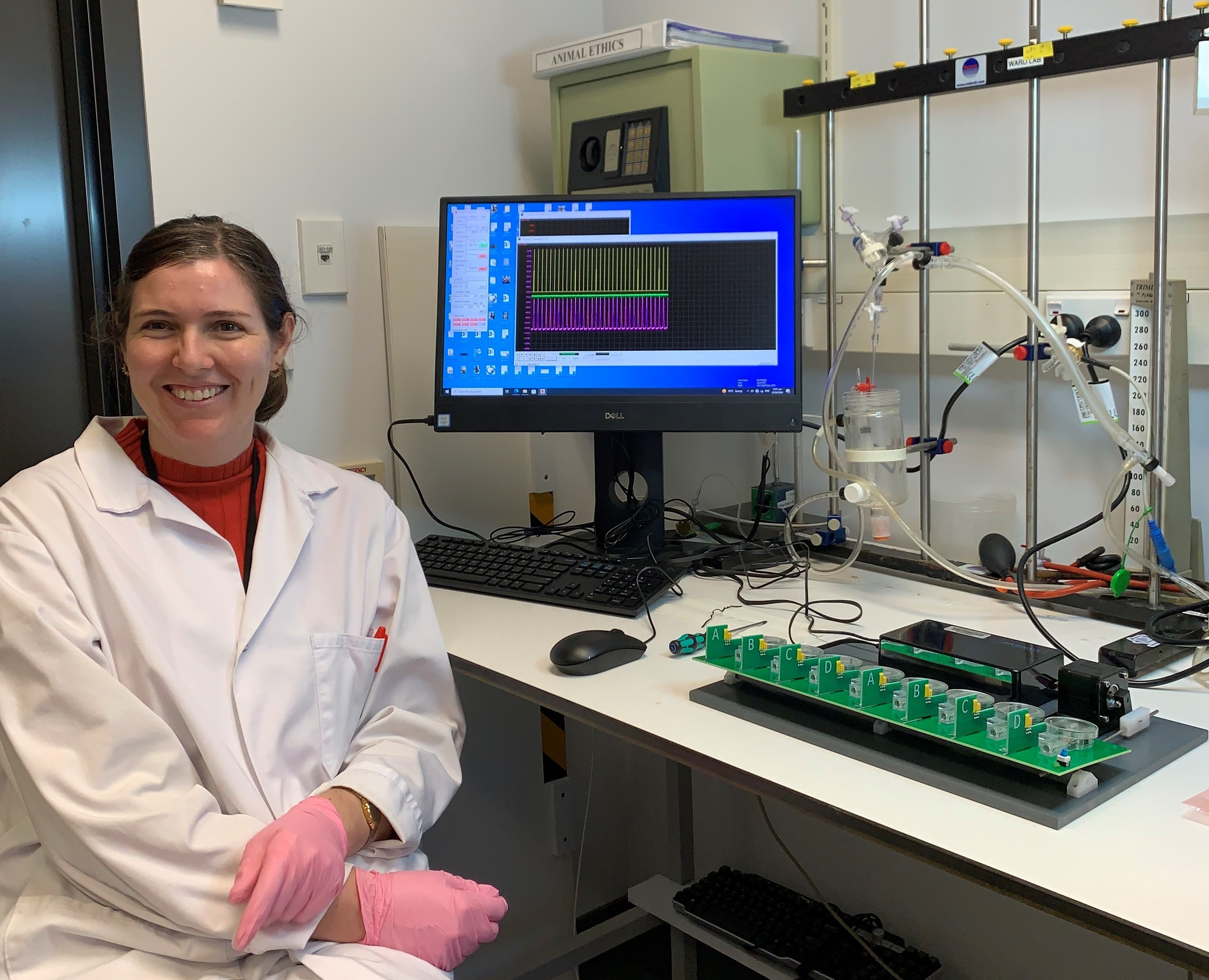 Why do our hearts fail at high temperatures? Investigating the effect ...